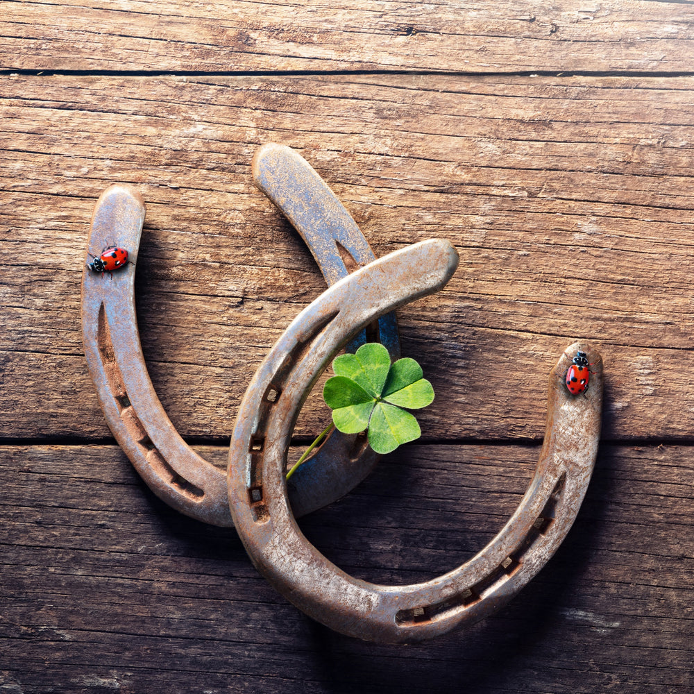 Horse Racing Gifts - Race Day Accessories & Attire