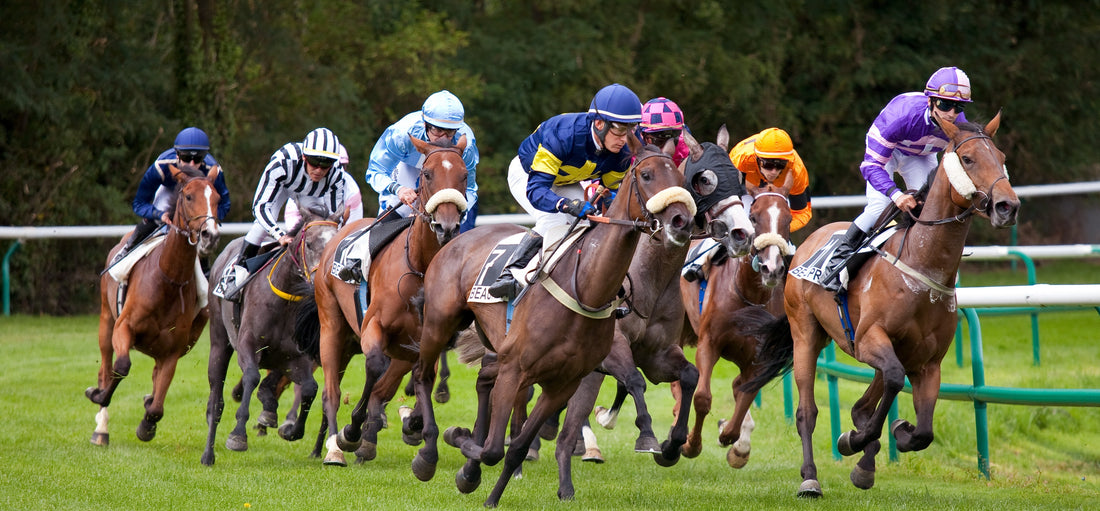 Horse Racing Gifts - Race Day Accessories & Attire